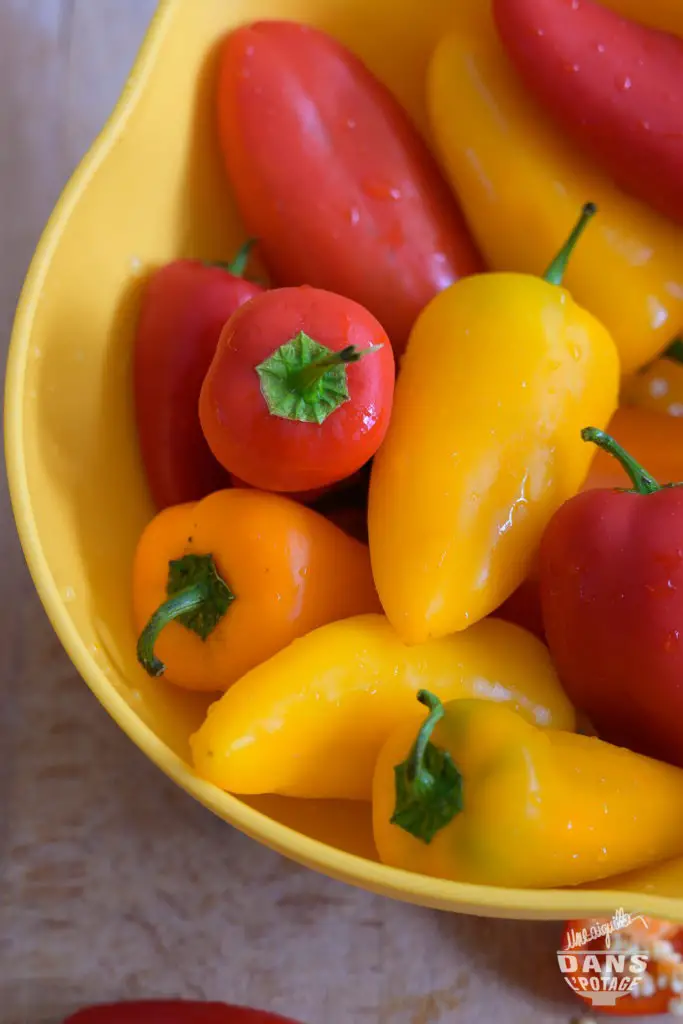 Mini-poivrons farcis à la feta – Une aiguille dans l'potage